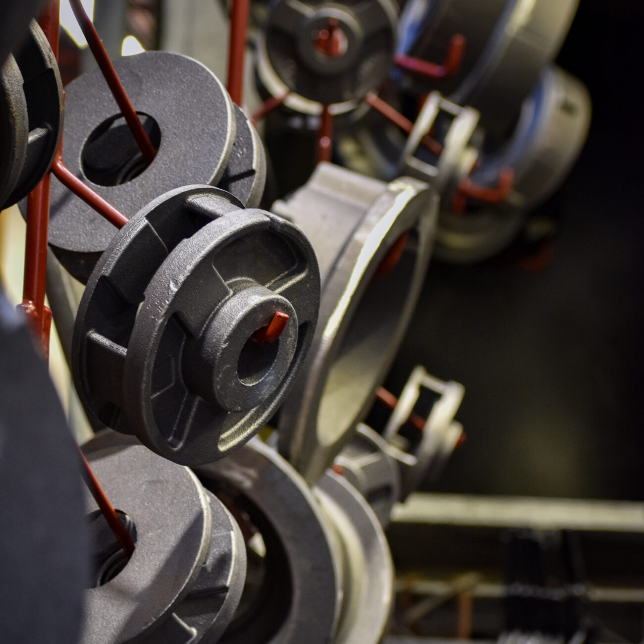 Plants – VDP Group