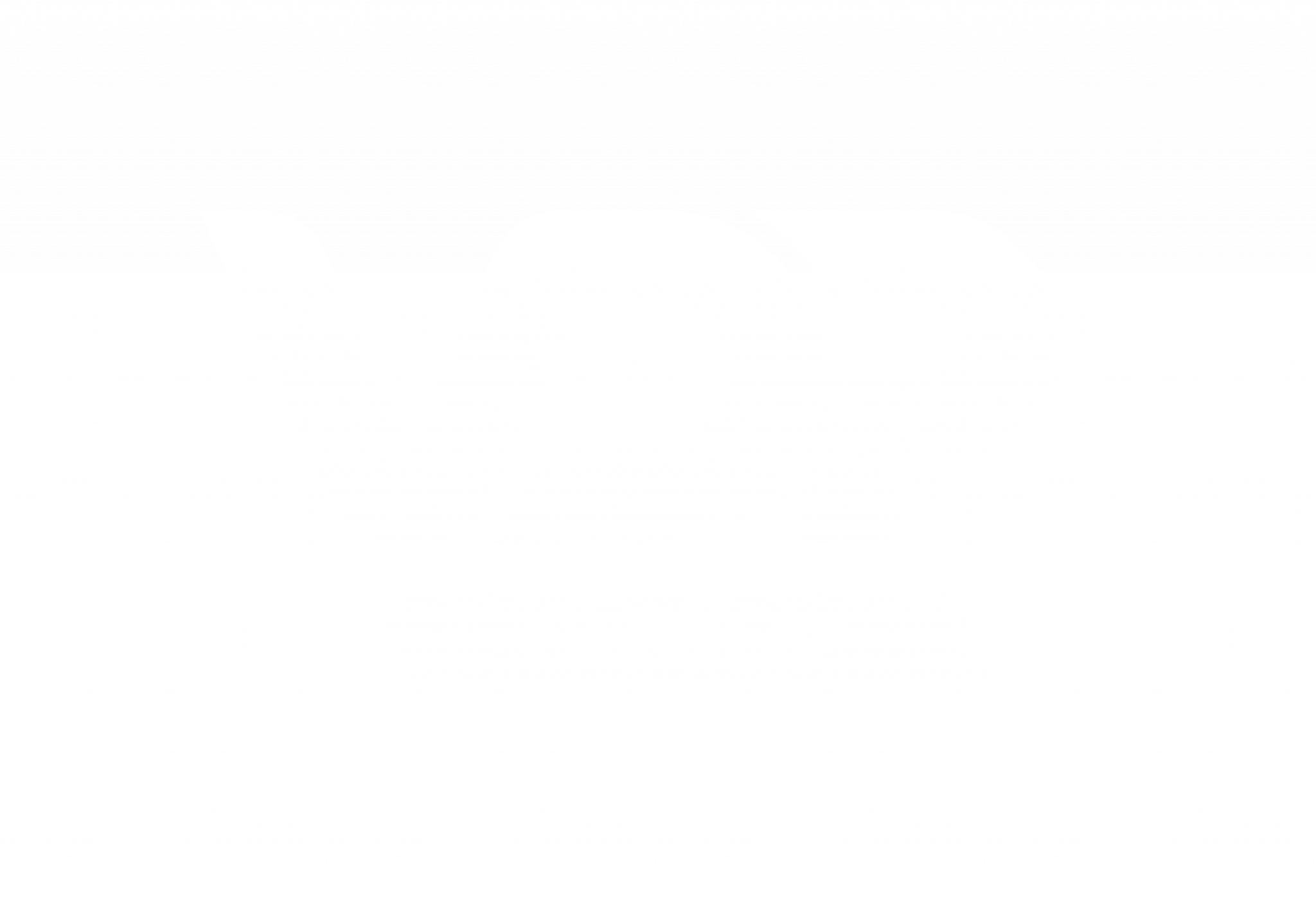 The VDP Group – VDP Group