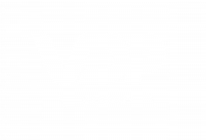 The VDP Group – VDP Group